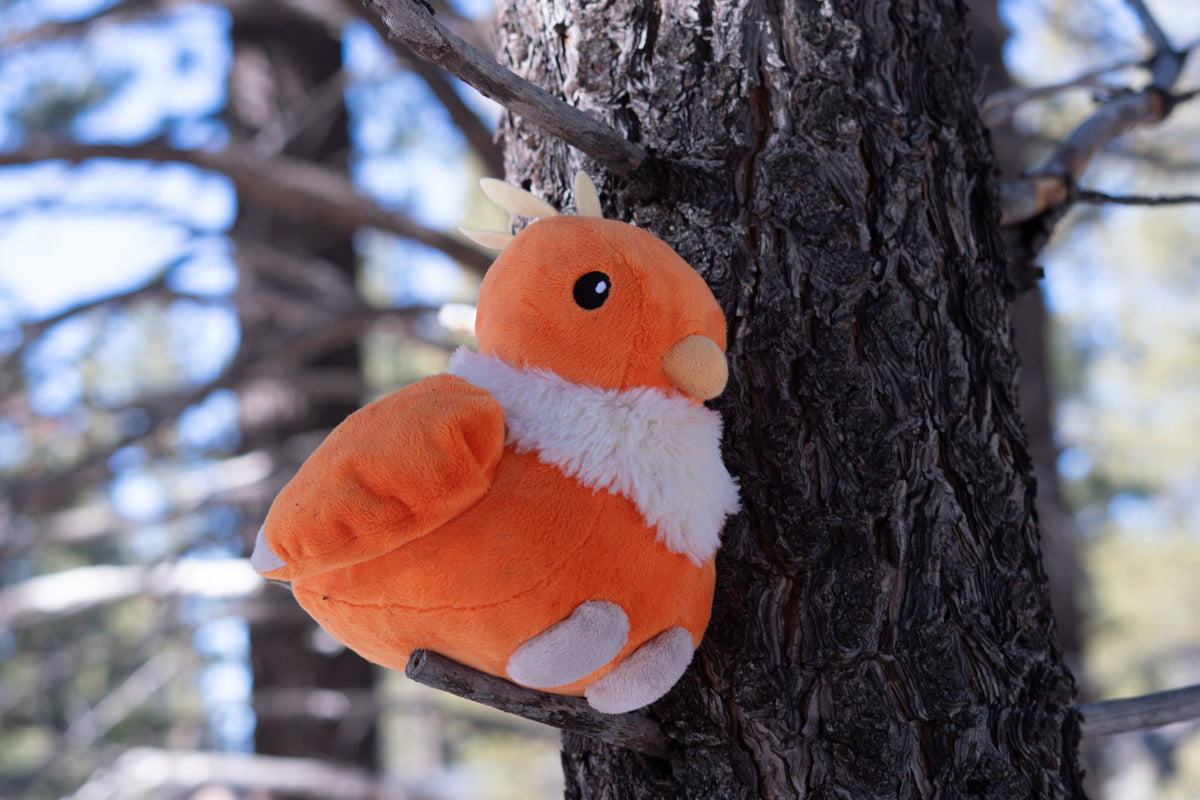 Phoenix Plush – Baby Bestiary